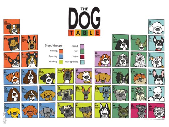 Dog Periodic Table Wrap With Lid | Tervis Official Store