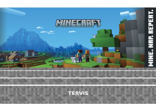 Minecraft - Cover Art | 20 oz Stainless Tumbler | Tervis