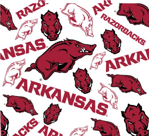 Arkansas Razorbacks - All Over | 24 oz Venture Lite Insulated Water ...