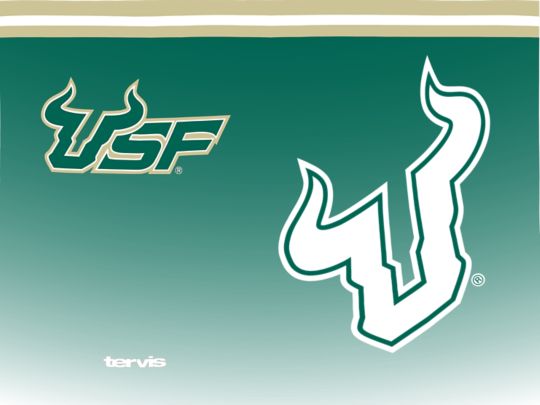 USF Bulls - Forever Fan | 24 oz Tumbler | Tervis